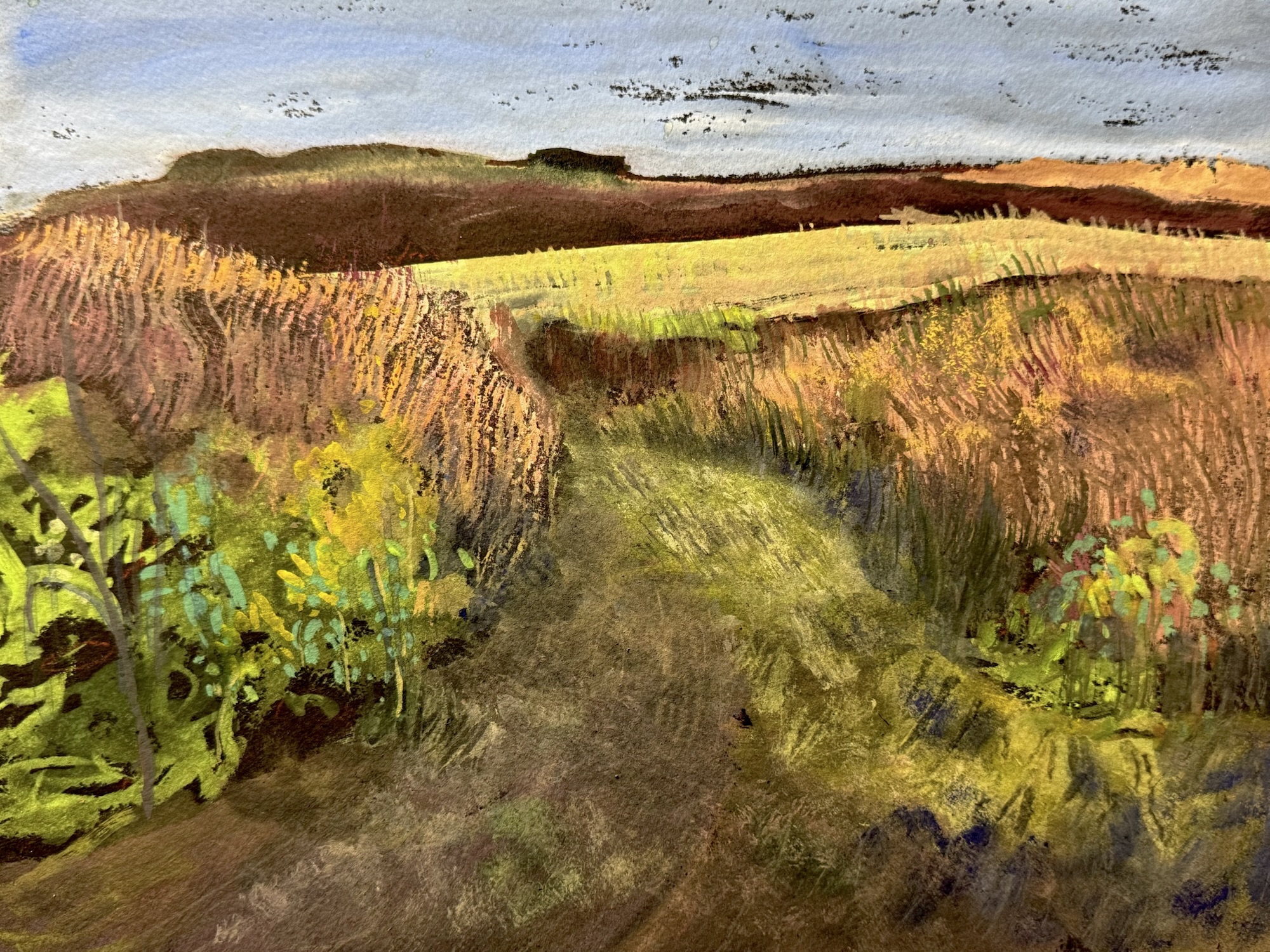 Prairie | Deliberate Sketching